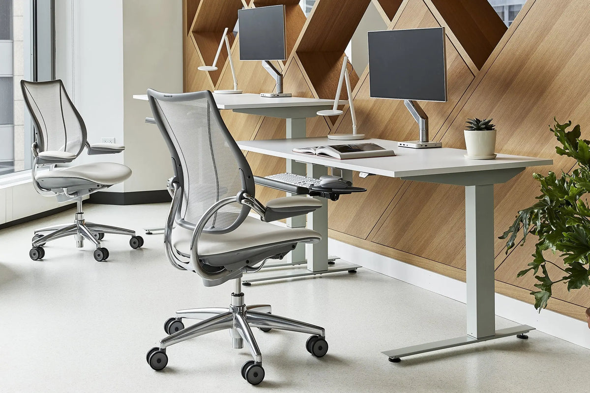 Best Ergonomic Solutions for Better Posture — Relax The Back