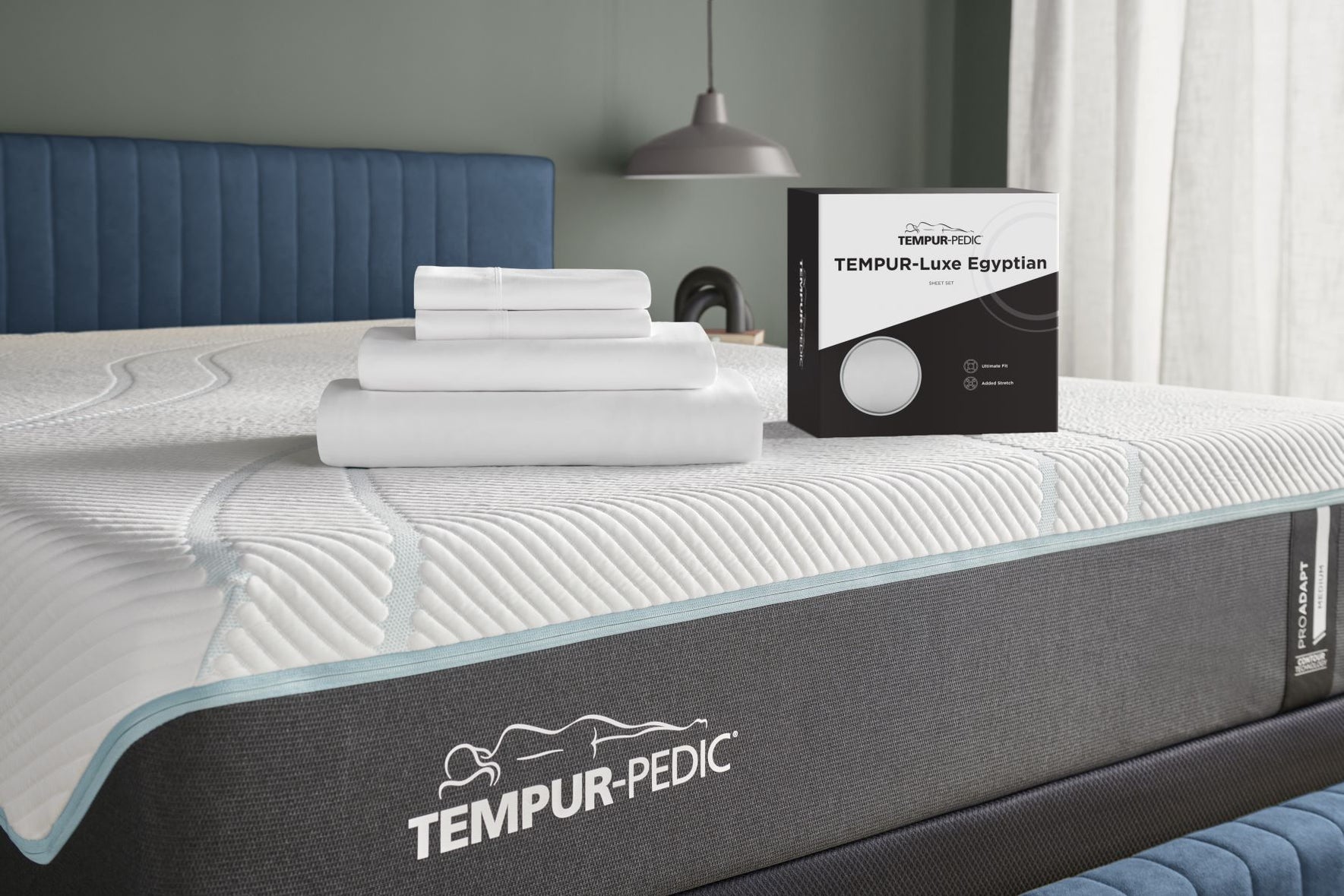 Relax The Back | Wellness and Ergonomic Back Pain Solutions