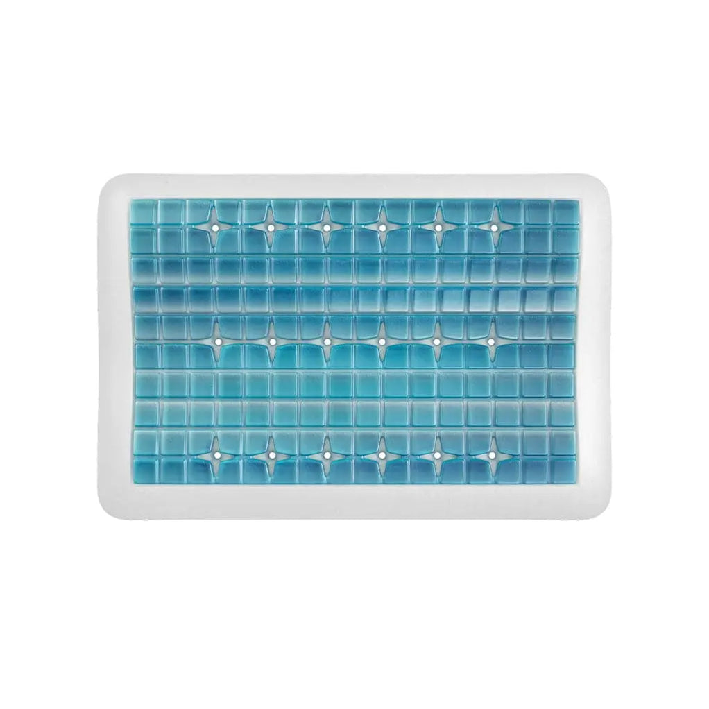 Anatomic Pillow by Technogel | Relax The Back